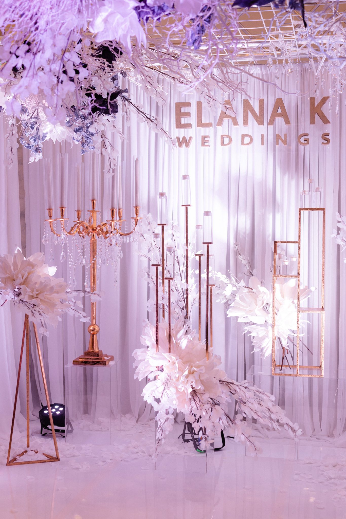 Five Reasons Why You Need To Attend Wedded World - Wedded Wonderland