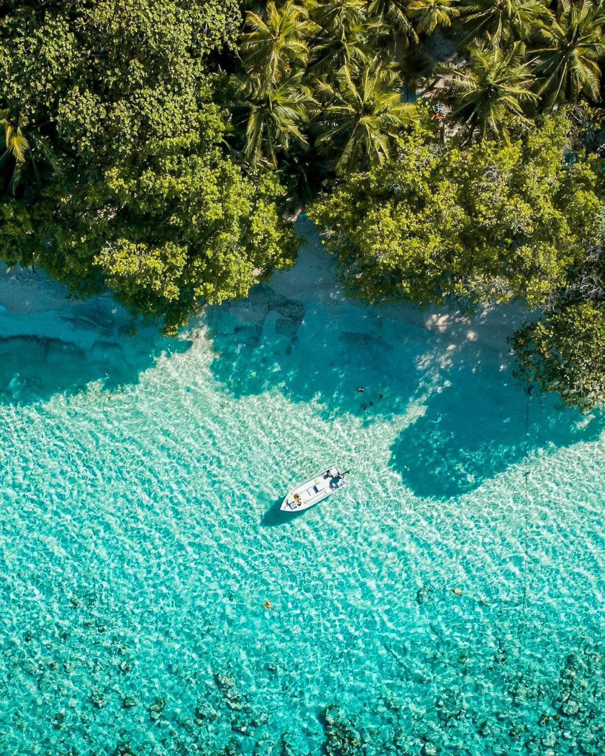 The Best Proposal Destinations In India | Wedded Wonderland