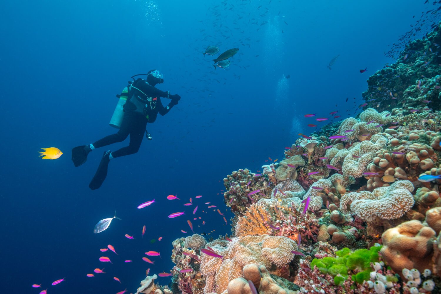 Discover Paradise At Wakaya Island Resort: A Premier Honeymoon ...